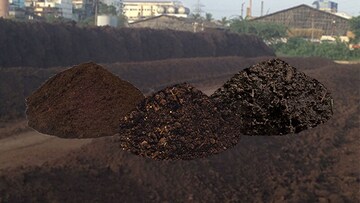 Press Mud Price Starting From Rs 160/Mt. Find Verified Sellers in ...