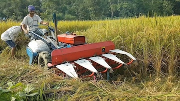 crop cutting tool
