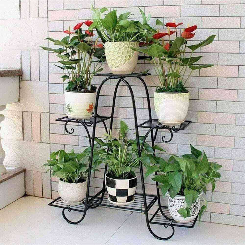 Orchid plant stand - Elegant, Sturdy & Stylish - Justdial Verified