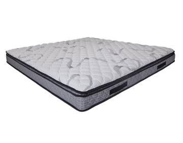 Sleepwell spinetech air store
