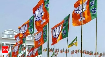 bjp flag colour code