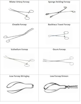 ovum forceps features
