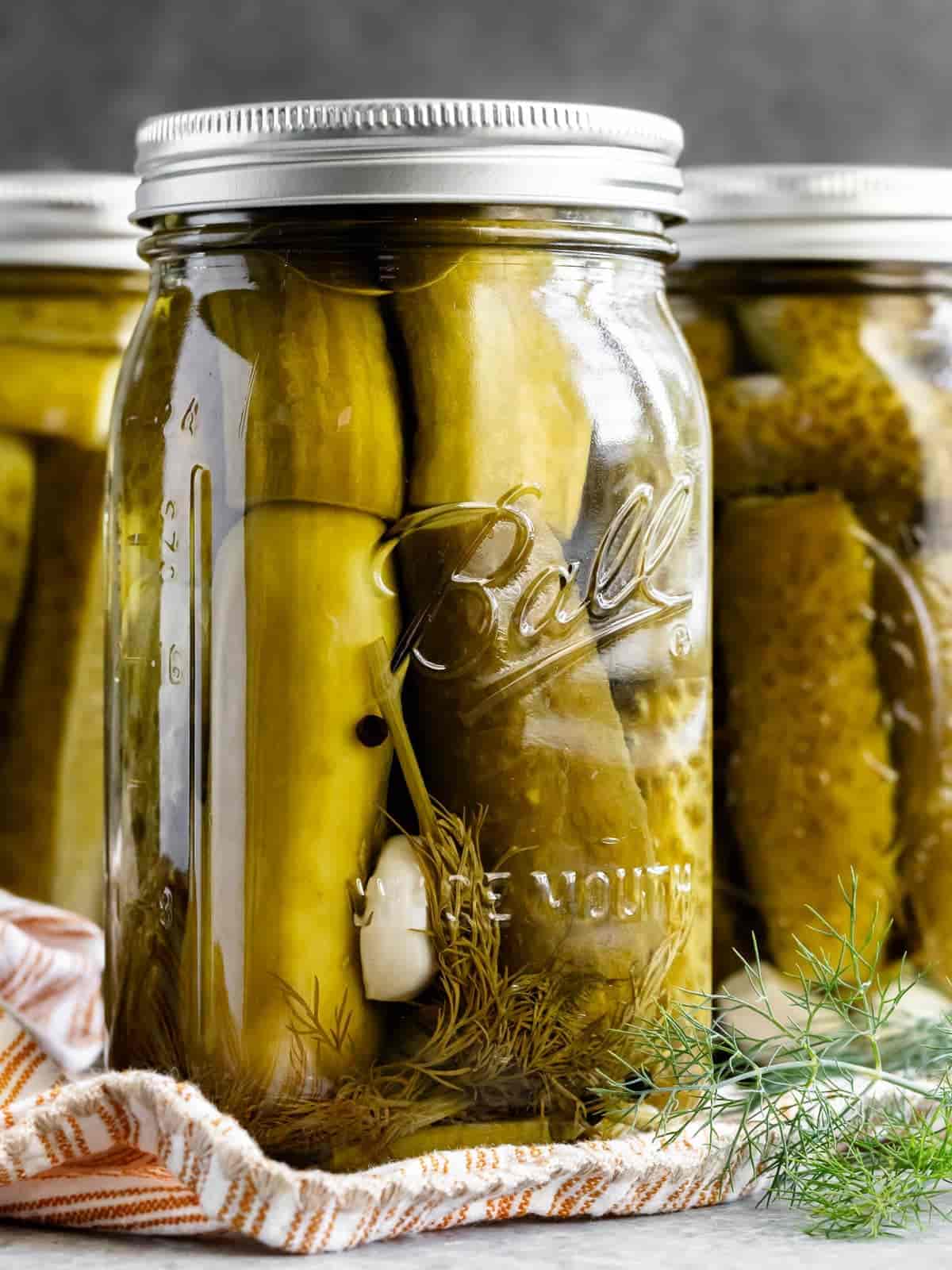 Pickle - Aachar Price Starting From Rs 150/Unit. Find Verified Sellers ...