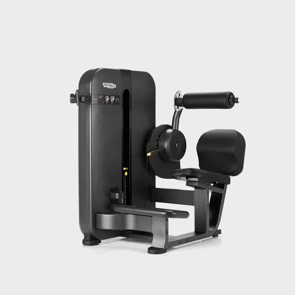 Back Exercise Machine - Ergonomic, Durable, Effective - Justdial Verified