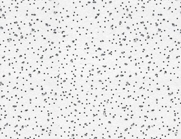 Radar Climaplus Ceiling Panels | Shelly Lighting