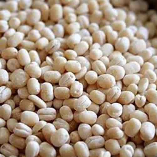 Polished Urad Dal - Get Best Price from Manufacturers & Suppliers in India