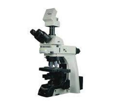 Penta Head Microscope - Get Best Price from Manufacturers & Suppliers ...