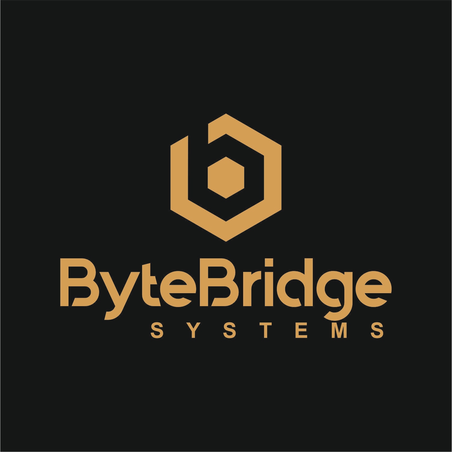 Bytebridge Systems in Vastral,Ahmedabad - Best Computer Repair ...