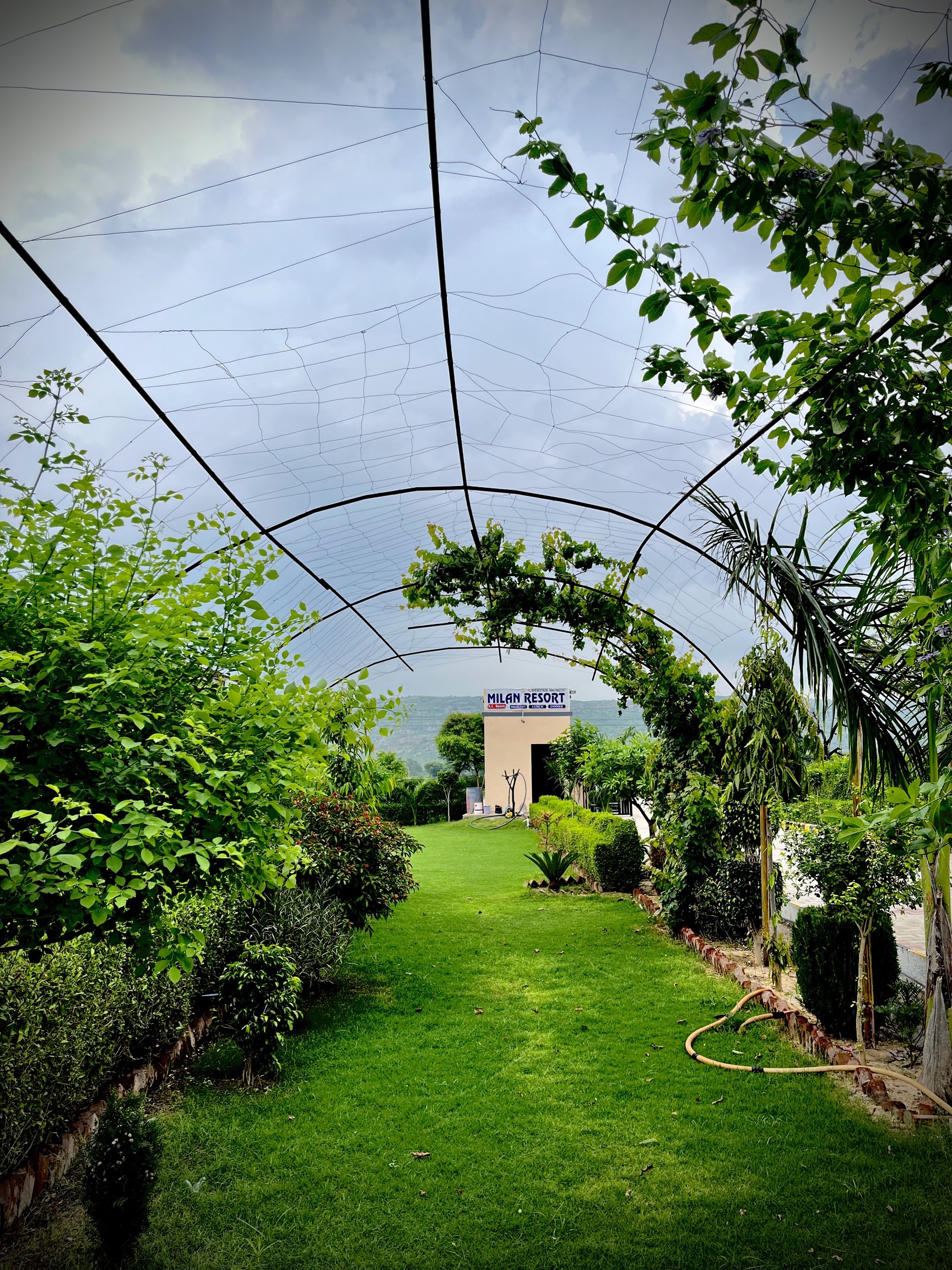 Starts at ₹1,386/night* - Book Milan Resort in Khairthal,Alwar - Best ...