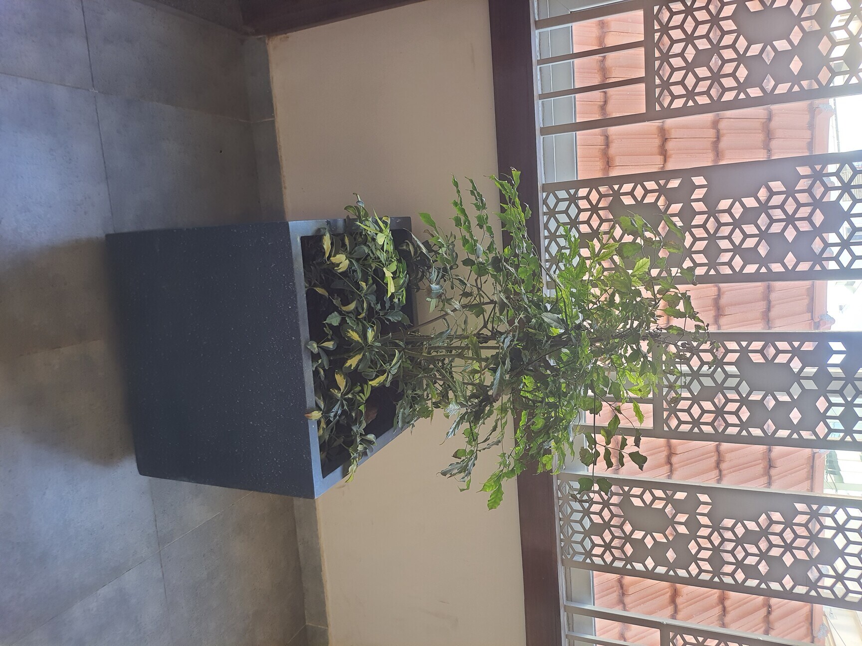 Swaadishta Restaurant in Sadashivanagar,Bangalore - Best North Indian ...