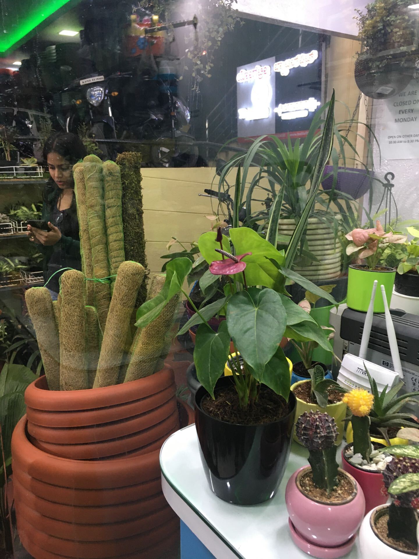 Iplant Gardens (Closed Down) in Jp Nagar 7th Phase,Bangalore - Best ...