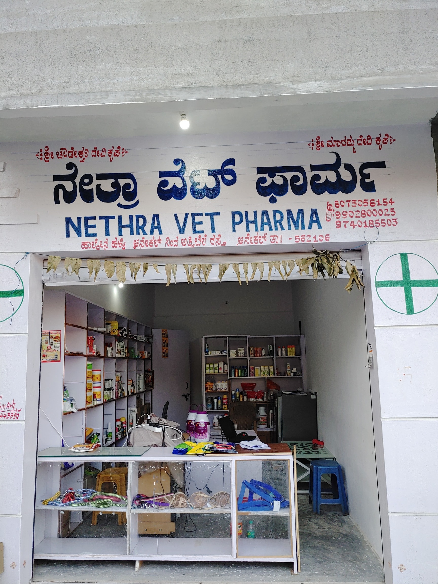 Pets medical near me store