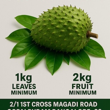 soursop fruit in tamilnadu