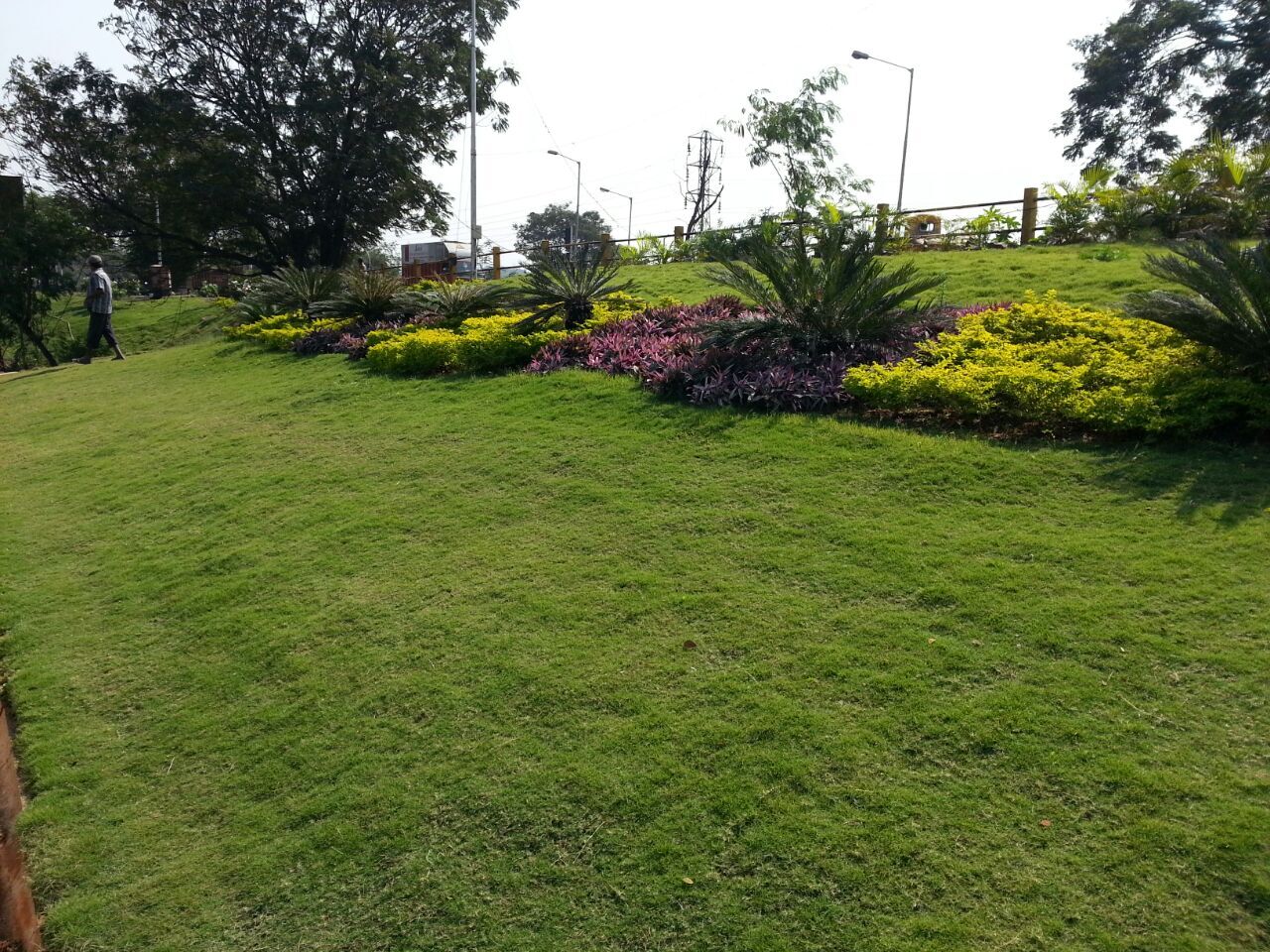 Vee Bee Greens in Street.P.K.COLONY,Bangalore - Best Gardening Services ...