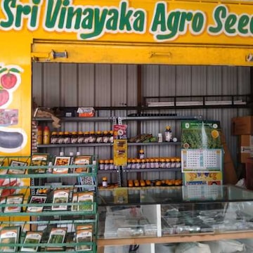 Top Vegetable Seed Retailers in Pillana Garden Best Vegetable Seed Dealers Bangalore Justdial