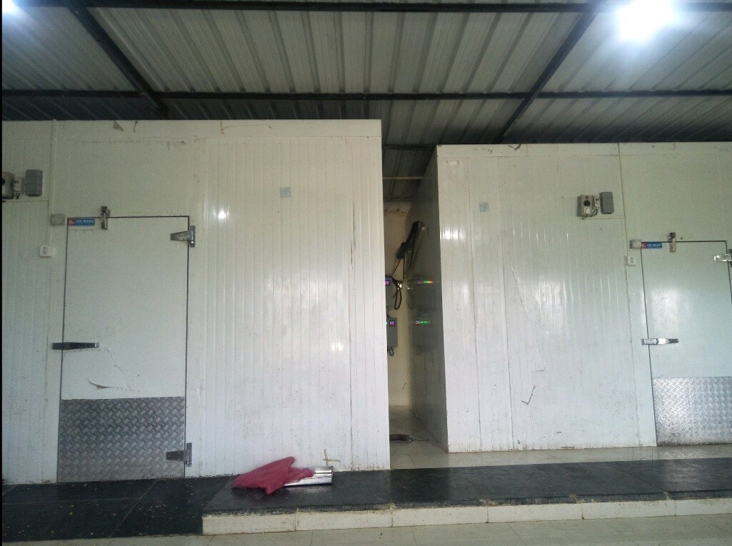 Sm Lighting in Kanakapura,Bangalore - Best Flower Decorators in ...