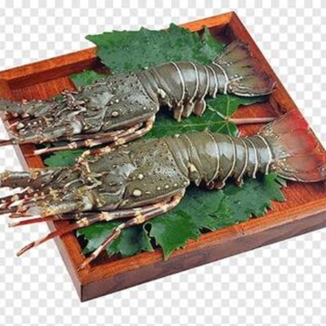 Catalogue - Ocean Feast in Porur , Chennai - Justdial