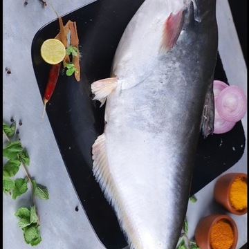 Top Seafood Exporters in East Coast Road Kottivakkam - Best Sea Food ...