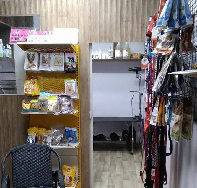 Happy Dogs in Mahipalpur,Delhi - Best Dog Parlours in Delhi - Justdial