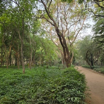 vrindavan forest project