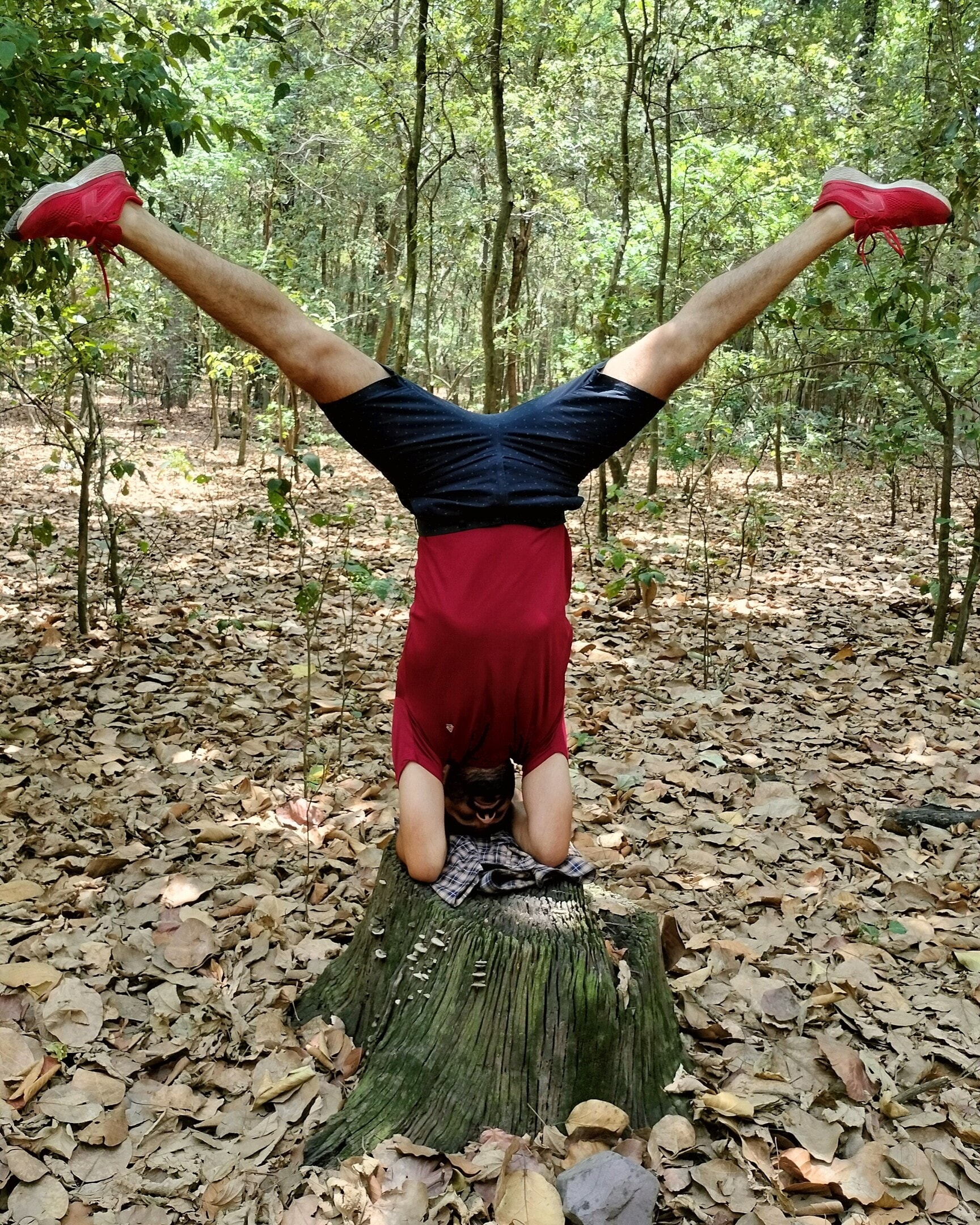 Yogis Temple in Indirapuram,Delhi - Best Yoga Classes in Delhi - Justdial