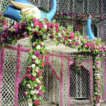 jasmine's flowers and decor