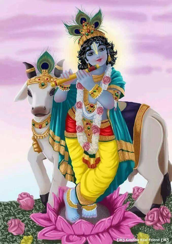 Msb General Store in Amarnagar,Faridabad - Best Grocery Stores near me in Faridabad - Justdial