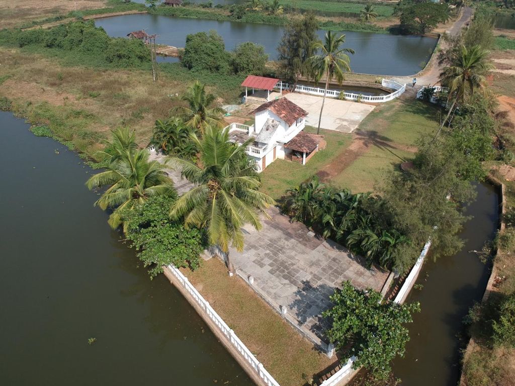 Furtados Hawaii Garden in Navelim,Goa - Best Banquet Halls near me in ...