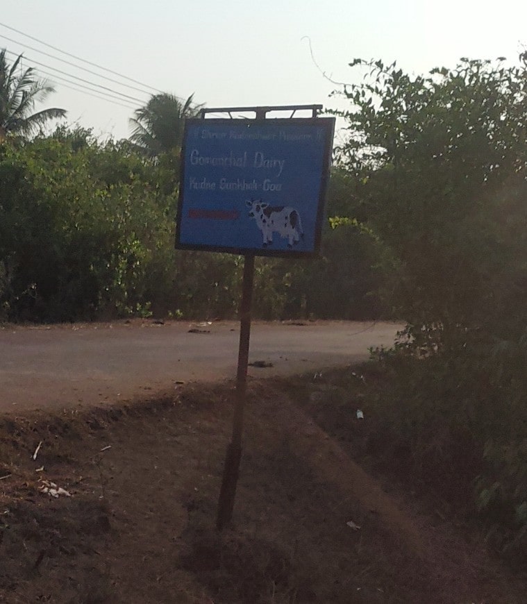 Gomanchal Dairy Farm in Cudnem,Goa - Best Milk Dairy near me in Goa ...