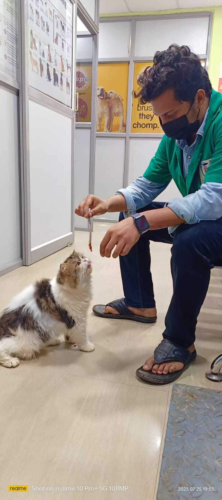 Cat care clinic store