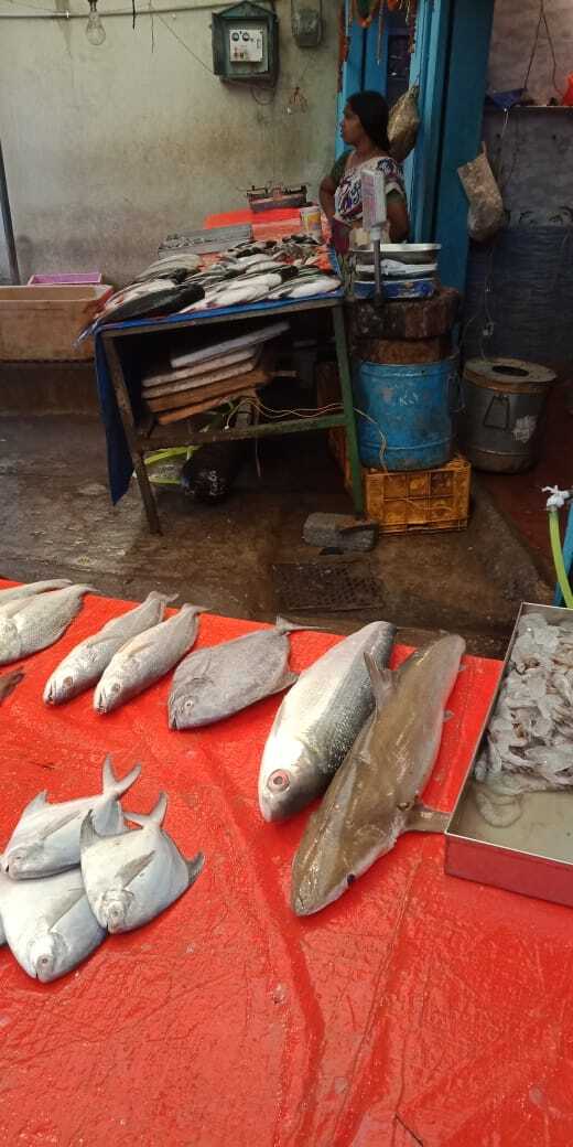 Fish Markets in Hyderabad Justdial