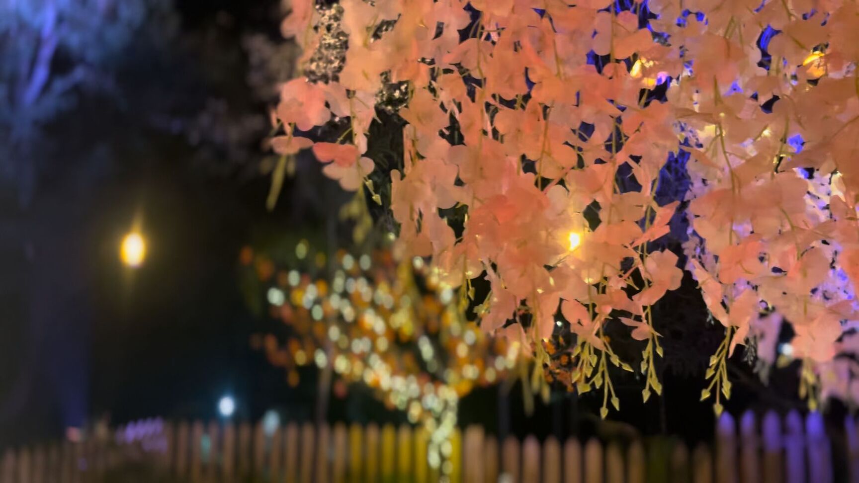 Treow Cafe & Kitchen in gachibowli,Hyderabad - Order Food Online - Best ...