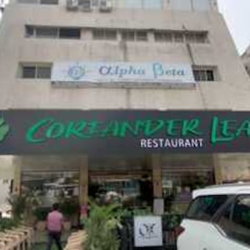 coriander leaf indore