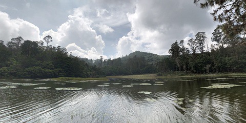 berijam forest safari