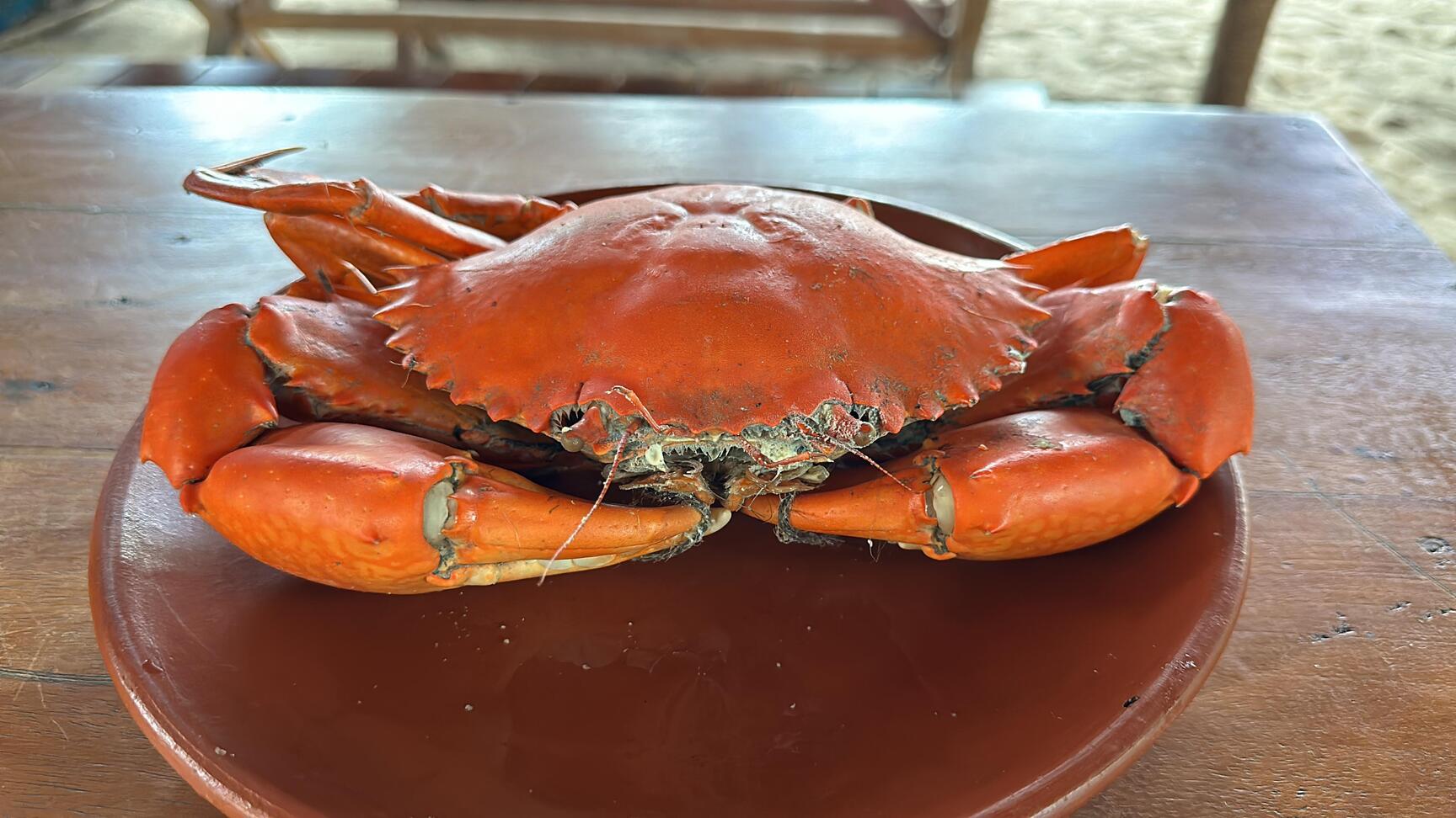 Blue Ocean Quilon in Near Sree Krishna Swami Temple,Kollam - Best ...