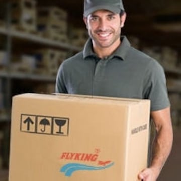 Top Flyking Courier Services near Ashasuman Hospital Virar West - Best ...