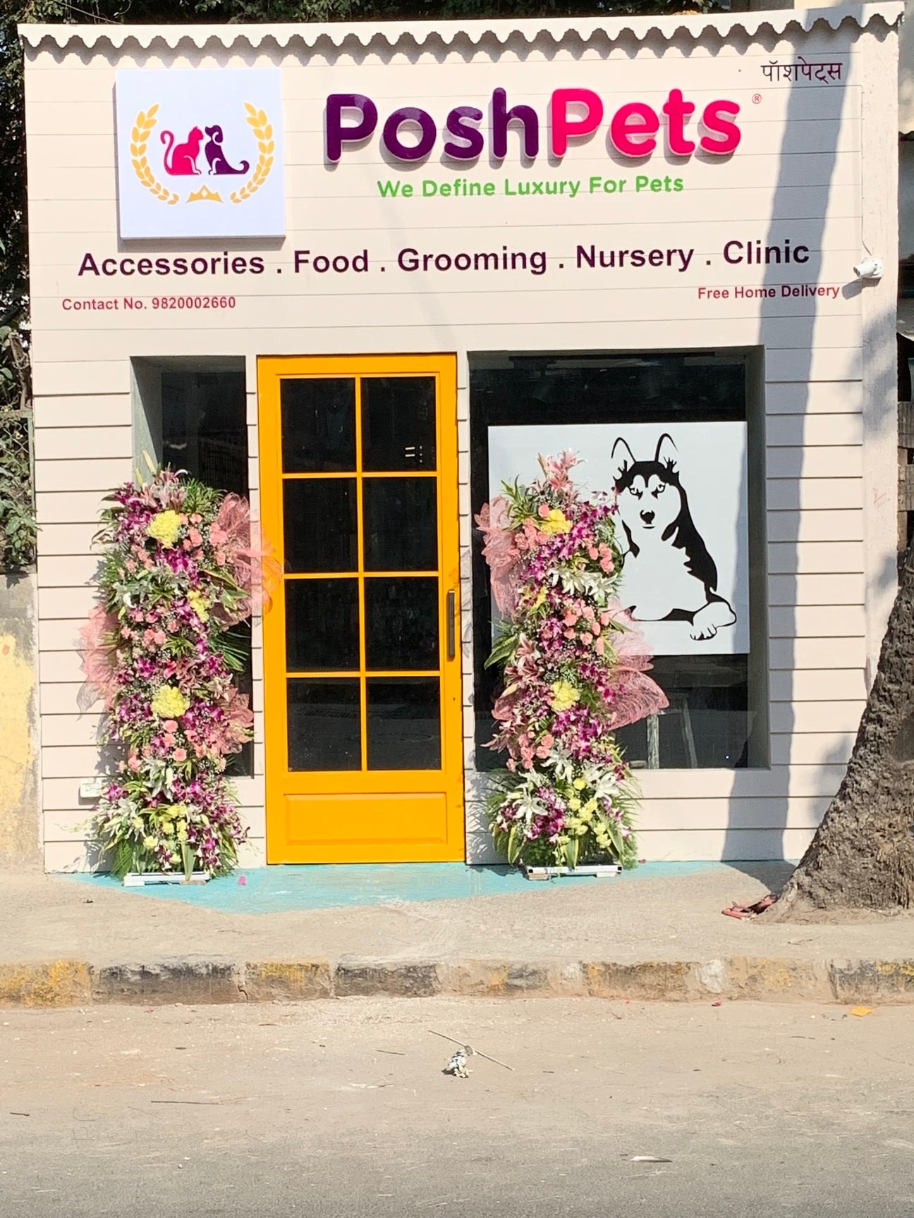 Posh pets store