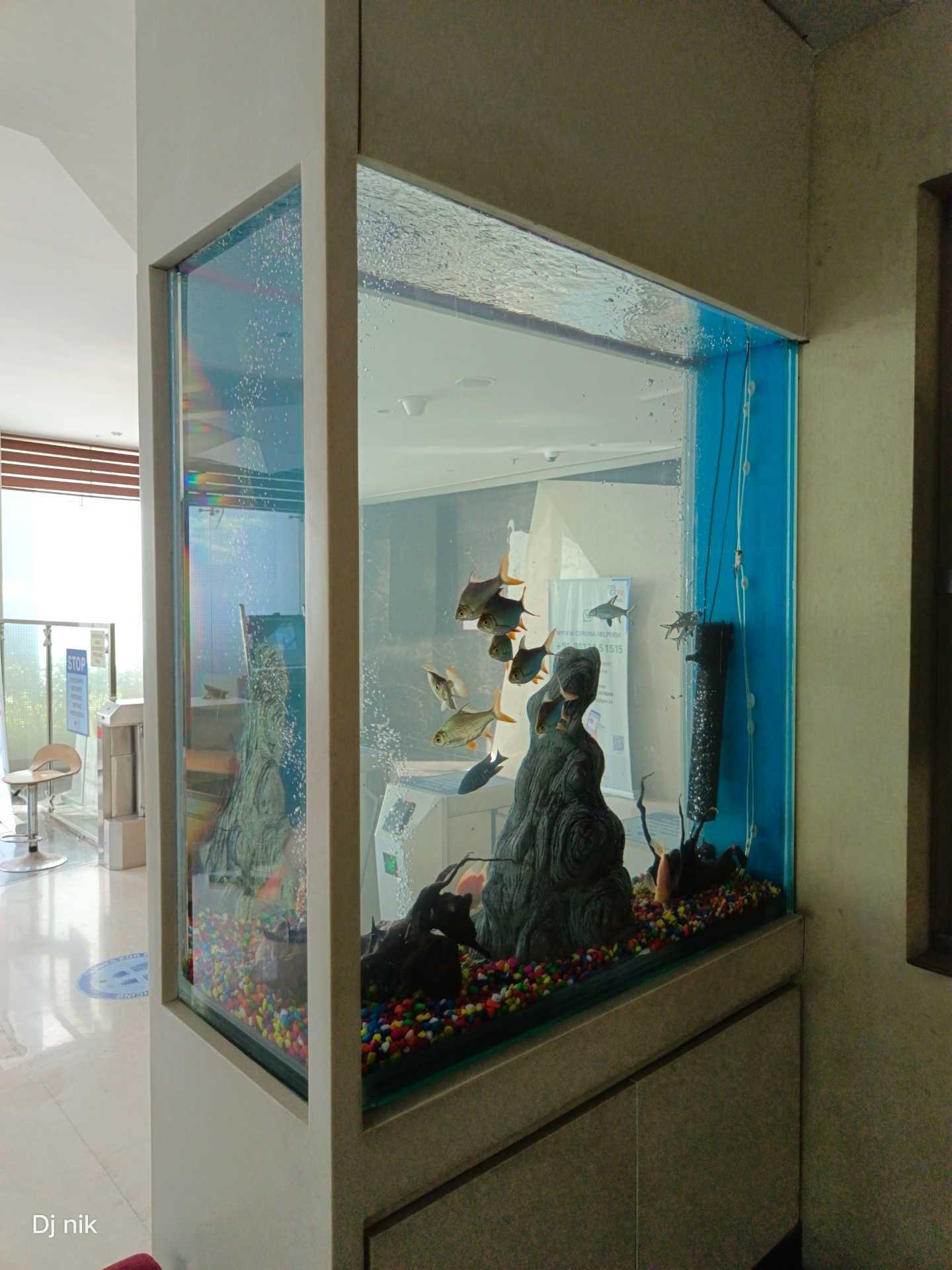 Aqua Desire in Goregaon West,Mumbai - Best Aquarium Accessory Dealers ...