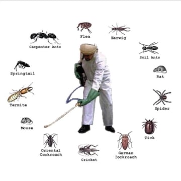 Best pest control near me store