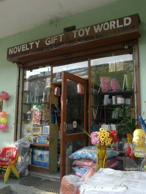 Novelty toy world store