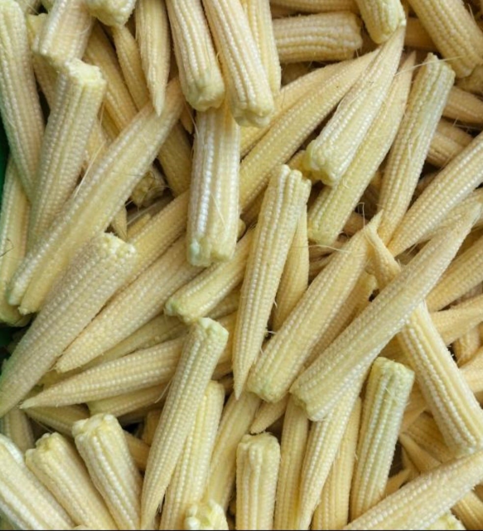 how to prepare baby corn recipes in telugu