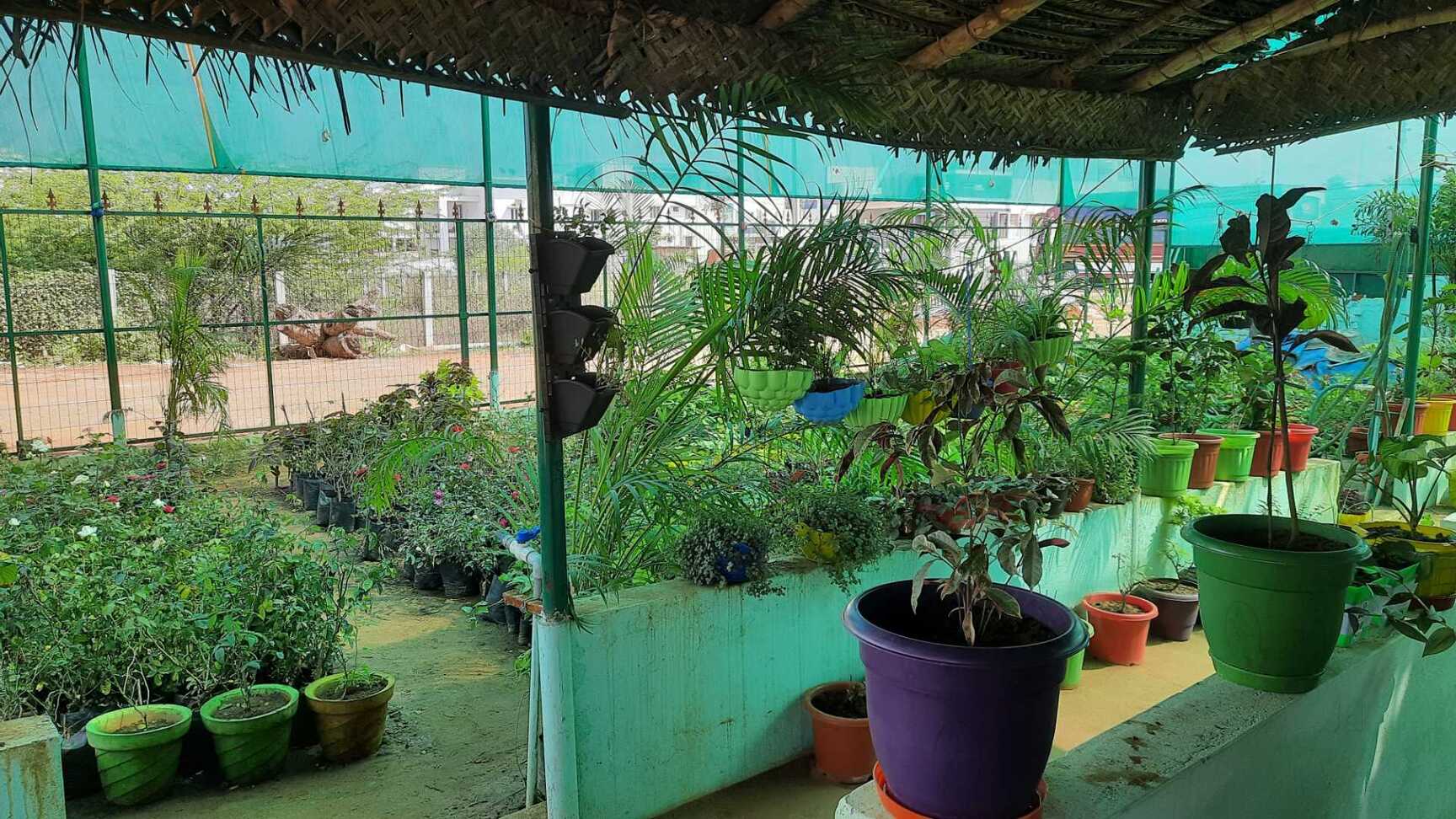 Rani Nursery And Garden in Mariammankoil,Thanjavur - Best Plant ...