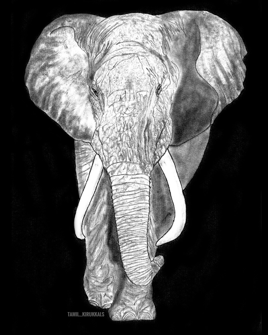 how to draw elephant tamil
