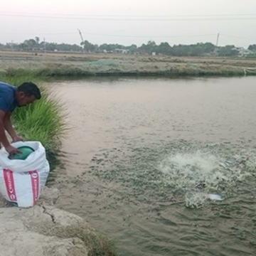 Utkarsh Fish Farm in Azoarepur, Varanasi - Best Fisheries Consultants ...