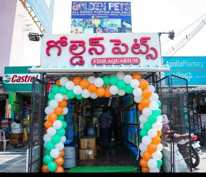 Golden Pets in Patamata,Vijayawada - Best Pet Shops near me in ...