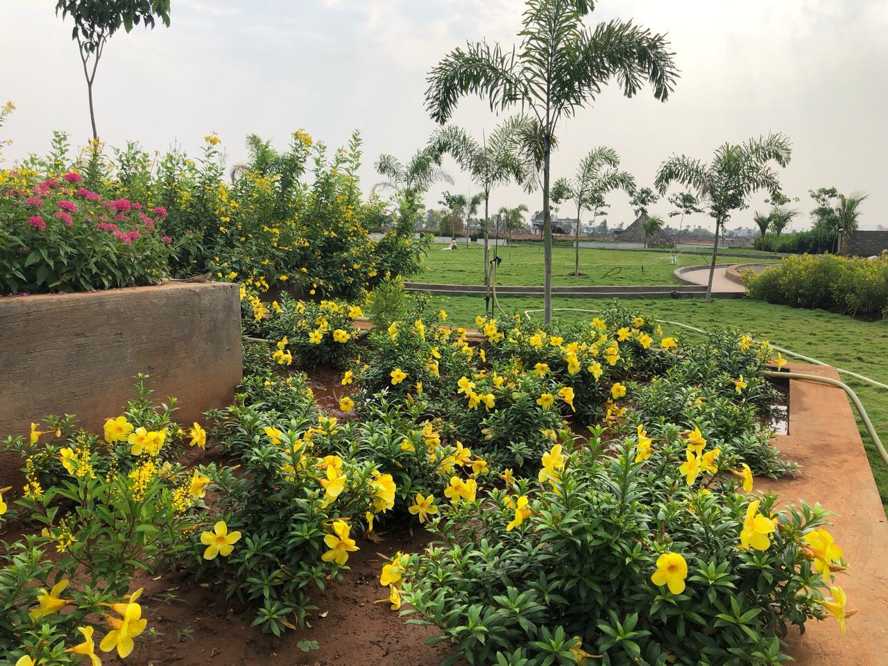 Silpa Hill View Park in atchutapuram,Visakhapatnam - Best Residential ...